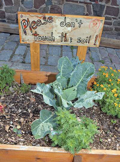 Permaculture growing from the underground | The Bulletin