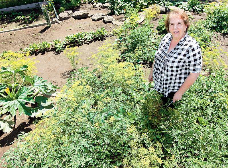 Preserve herbs for later | The Bulletin