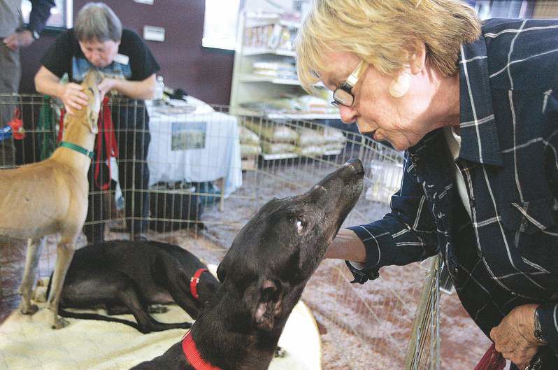 Greyhound adoption tour hits Bend | The Bulletin