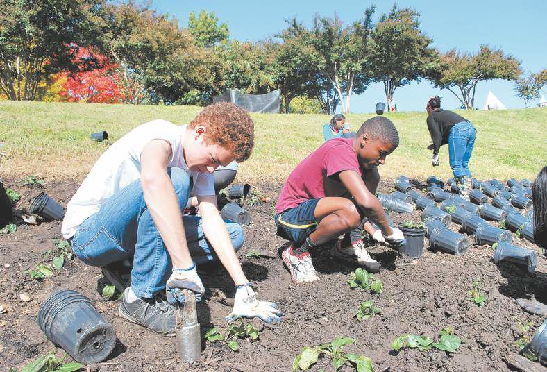 In the capital, Lady Bird’s beautification efforts endure | The Bulletin