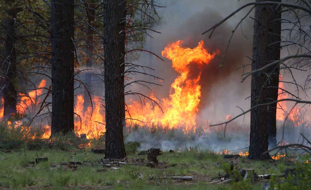 Fire near Spring River Road contained | The Bulletin