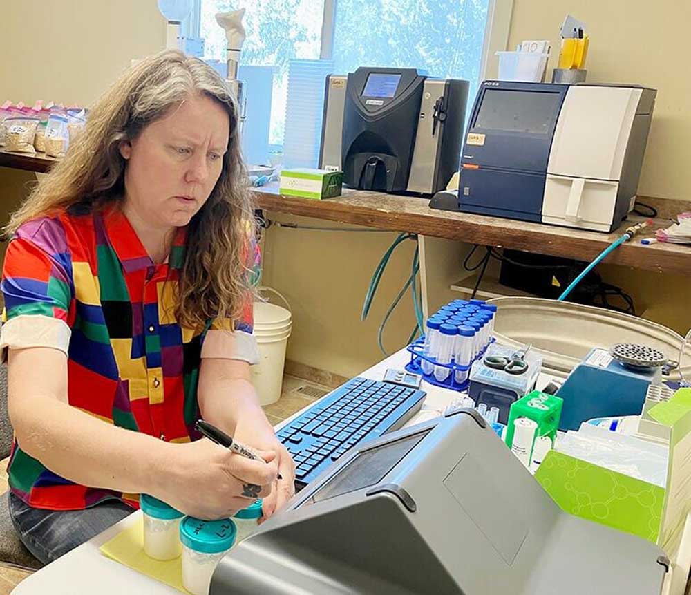 Falling number rapid test to be available in early 2025 | The Bulletin