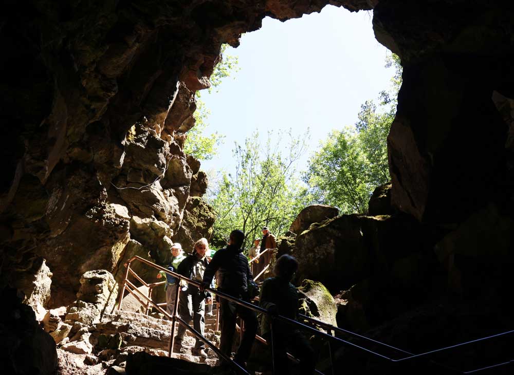 Discover Your Forest nonprofit to change name | The Bulletin