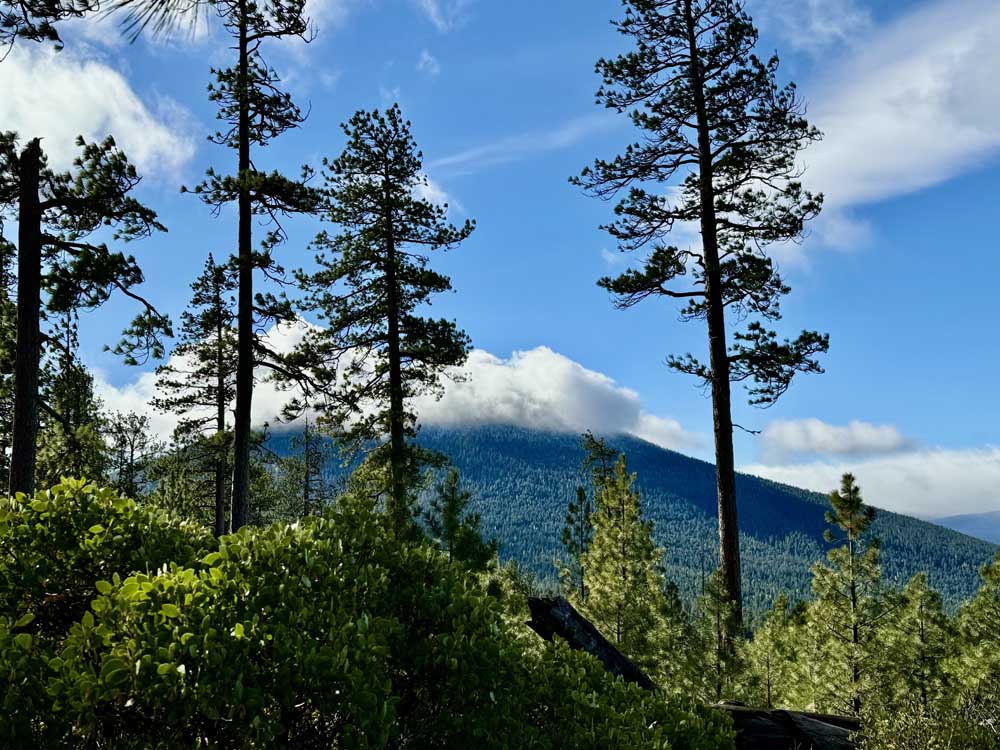 Taking a late season ride at Green Ridge Trail near Sisters | The Bulletin