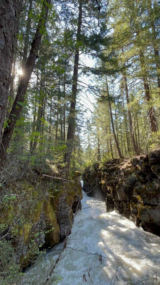 Rogue River Gorge Viewpoint is a must-stop roadside attraction | The ...