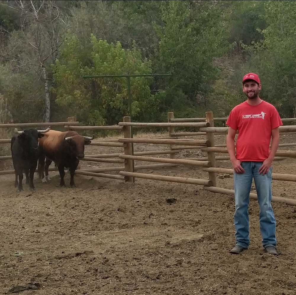 It’s Man vs Beast in Freestyle Bullfighting | The Bulletin