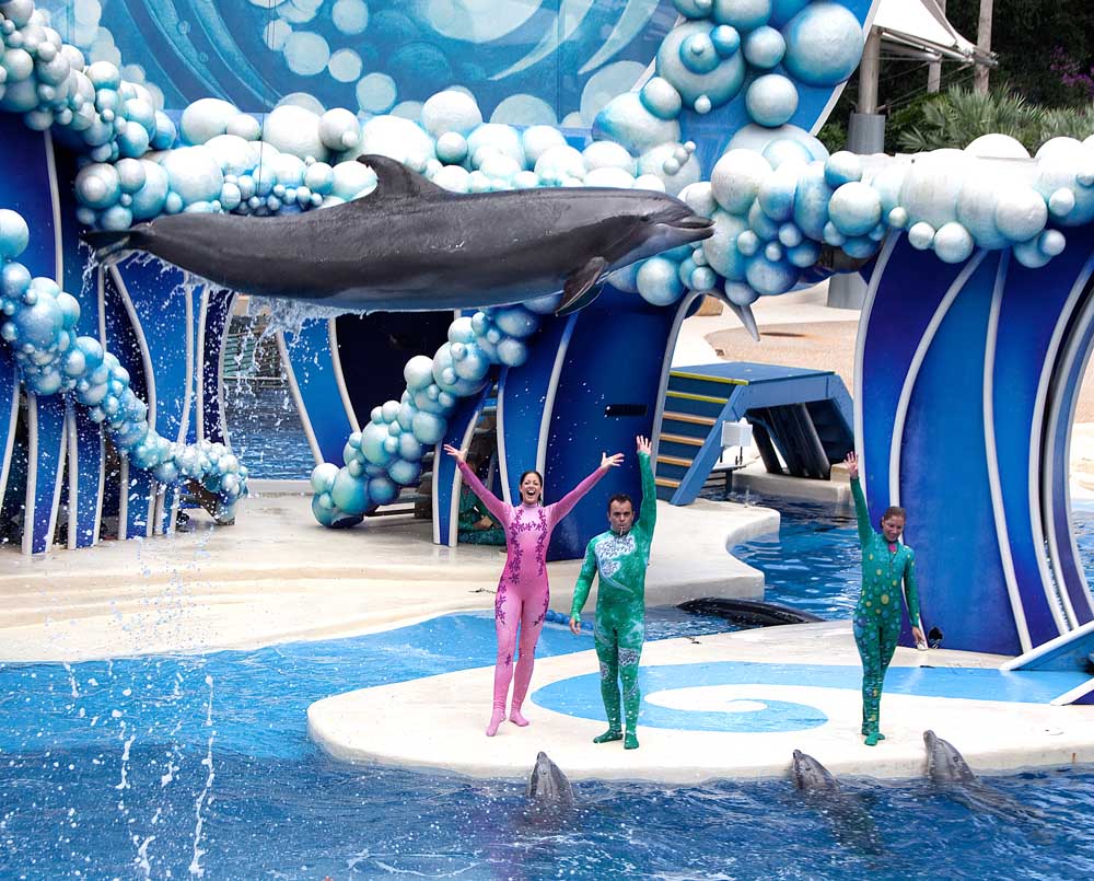 New SeaWorld ad campaign aims to boost a major slump | The Bulletin