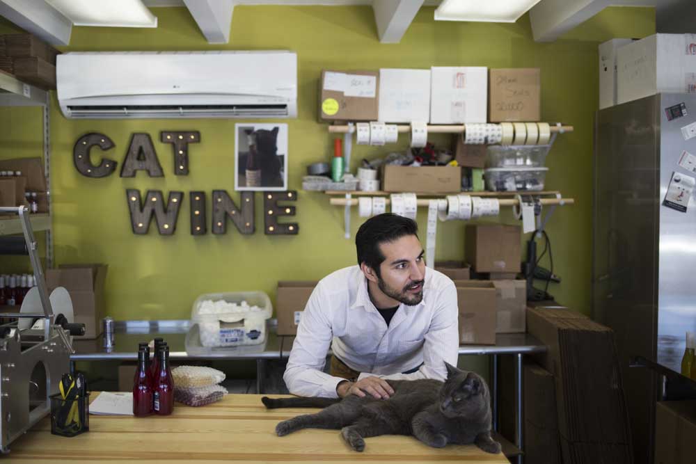 Feline wine | The Bulletin