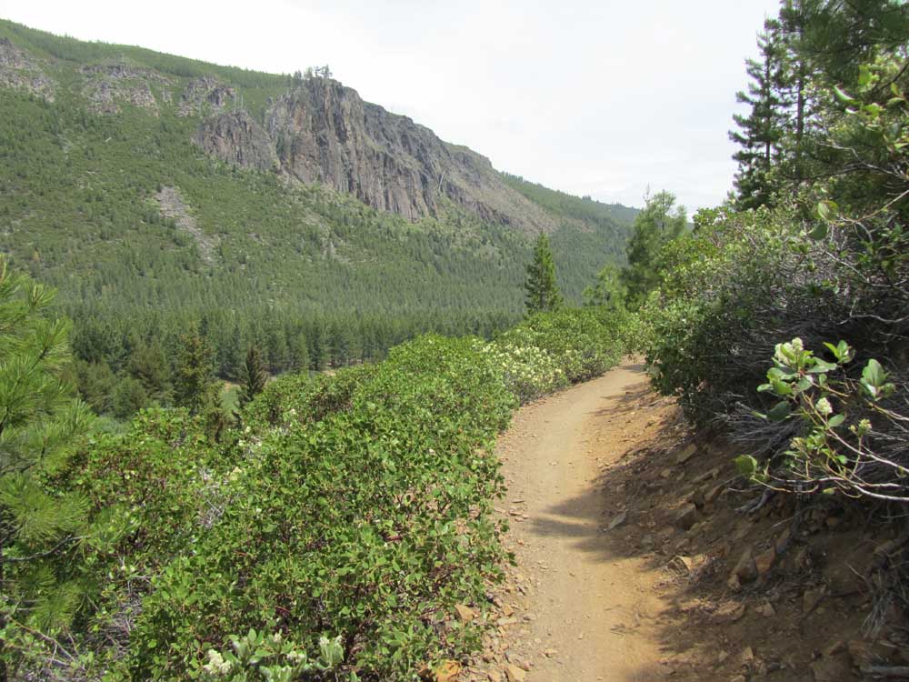 Mountain Bike Trail Guide: Swede Ridge Loop | The Bulletin