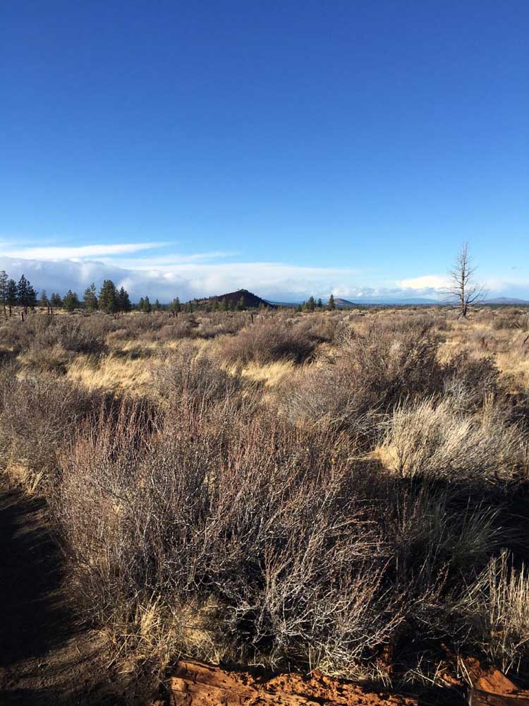 Outdoor pick of the week: Coyote Loop Trail | The Bulletin