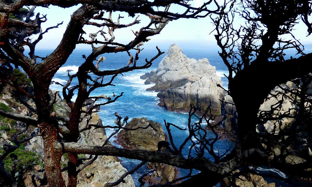 California’s Point Lobos is a coastal paradise | The Bulletin