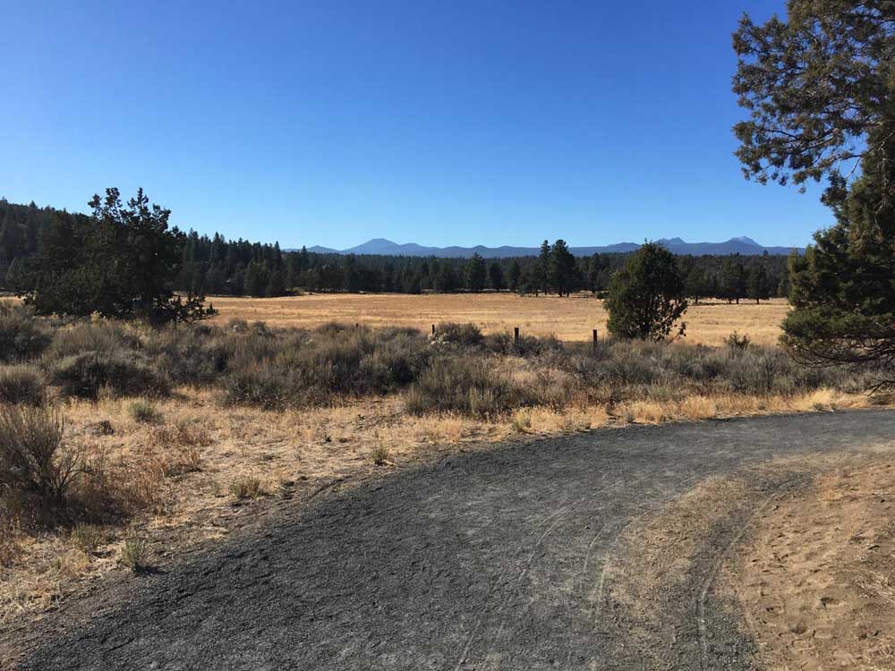 Outdoor pick of the week: Riley Ranch Nature Reserve | The Bulletin