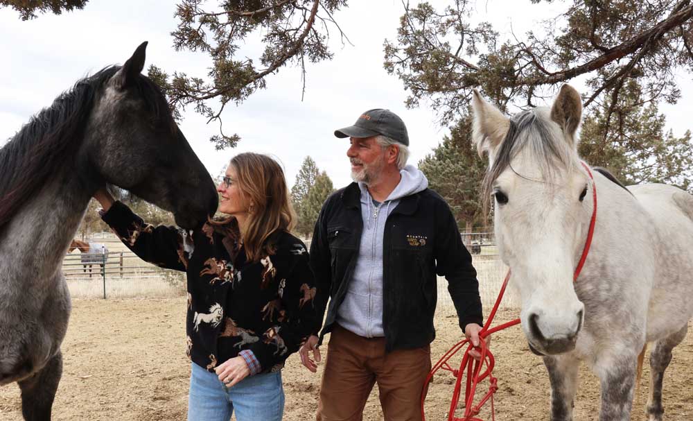 Big problems for tiny homes as rural ADU rules remain on hold | The ...