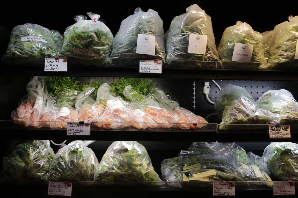 Locavore wants to eliminate plastic bags | The Bulletin