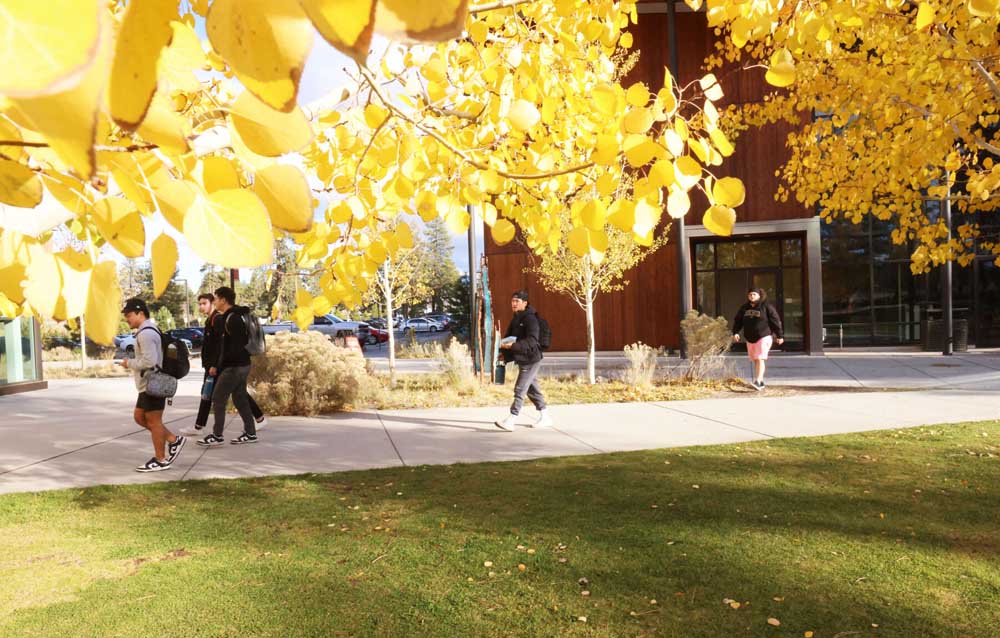 Building a network: OSU-Cascades creating a career accelerator program ...