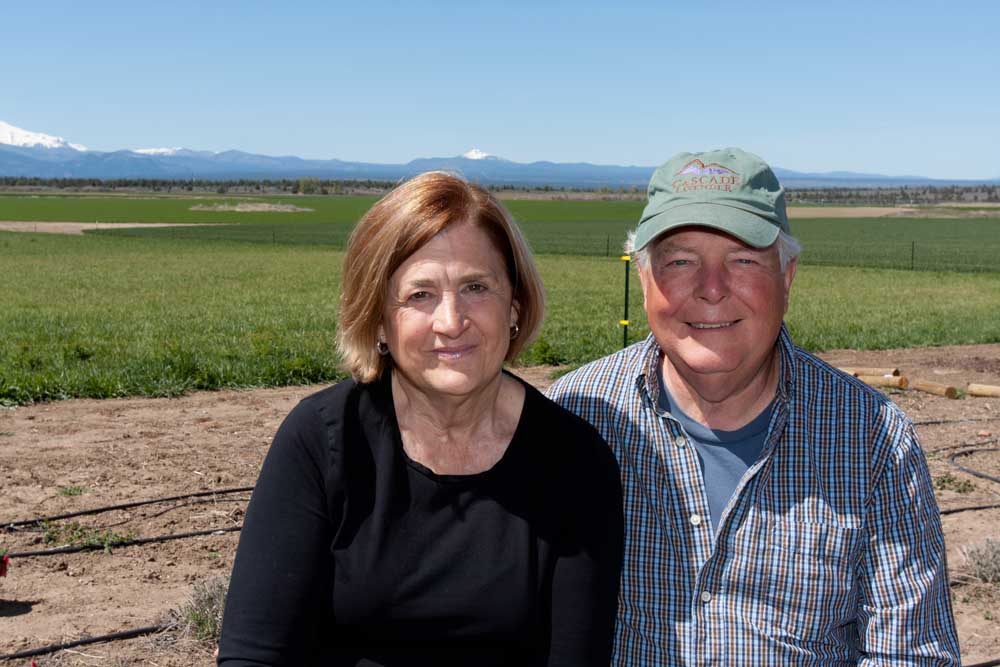 No Ordinary Farm | The Bulletin