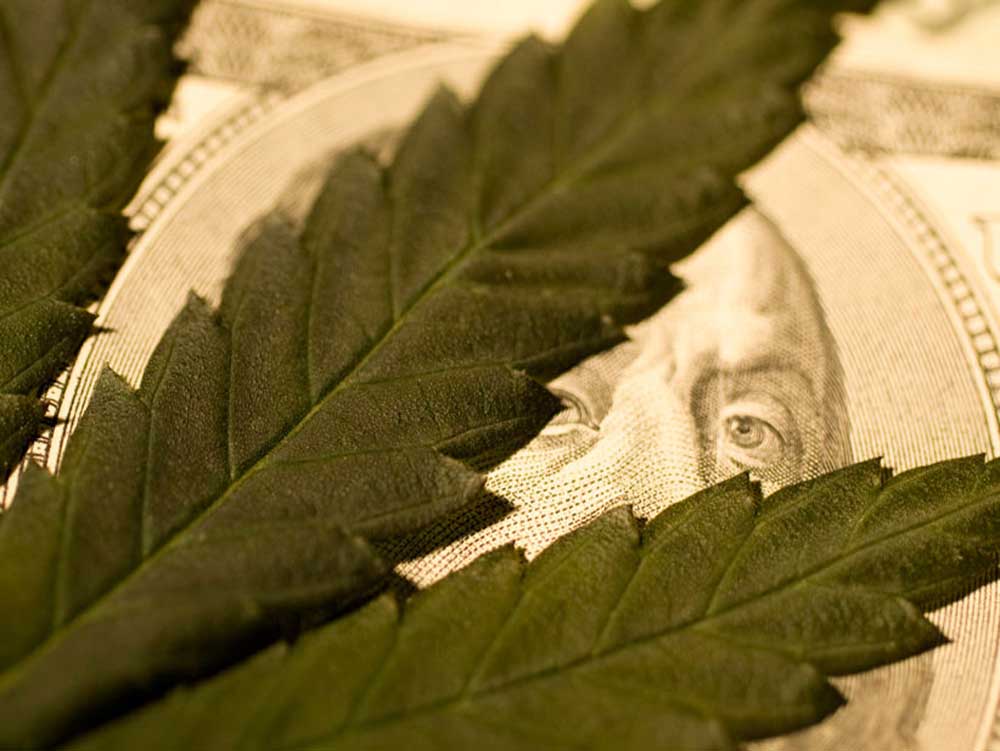 Pot banking solution years away | The Bulletin