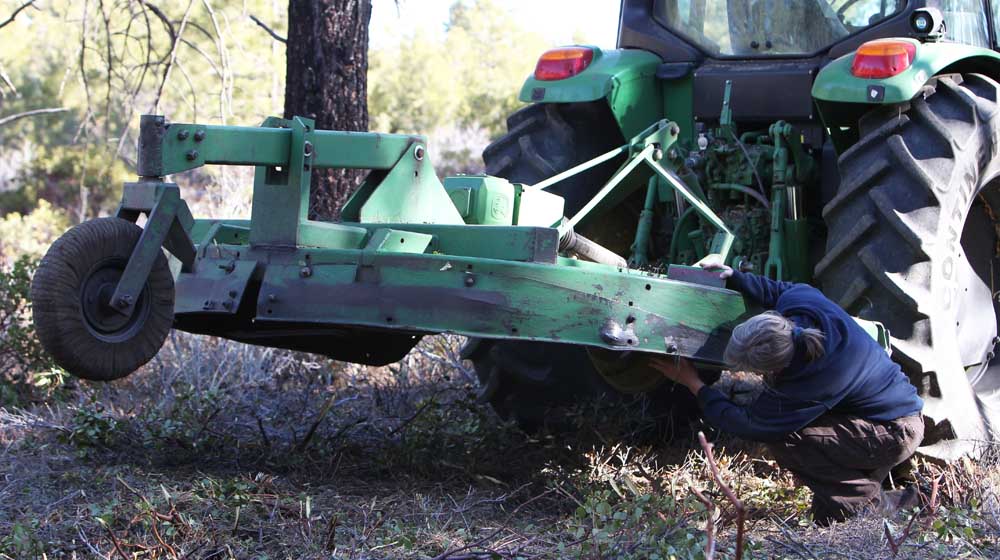 Brush treatment planned for Sisters Ranger District | The Bulletin