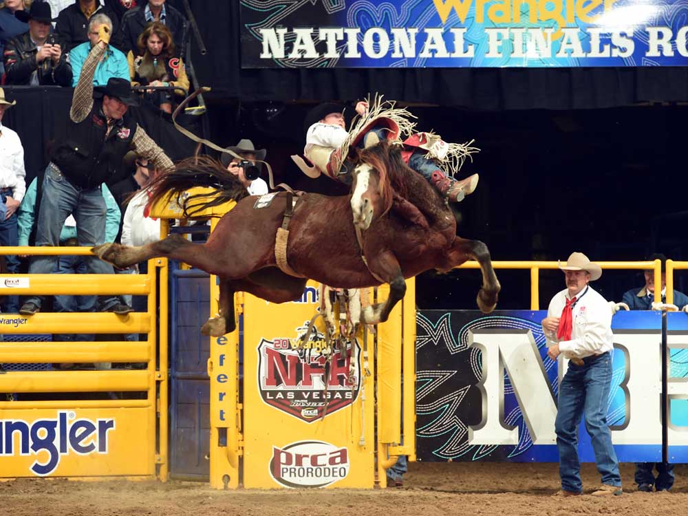 Peebles ties for 1st at National Finals Rodeo | The Bulletin