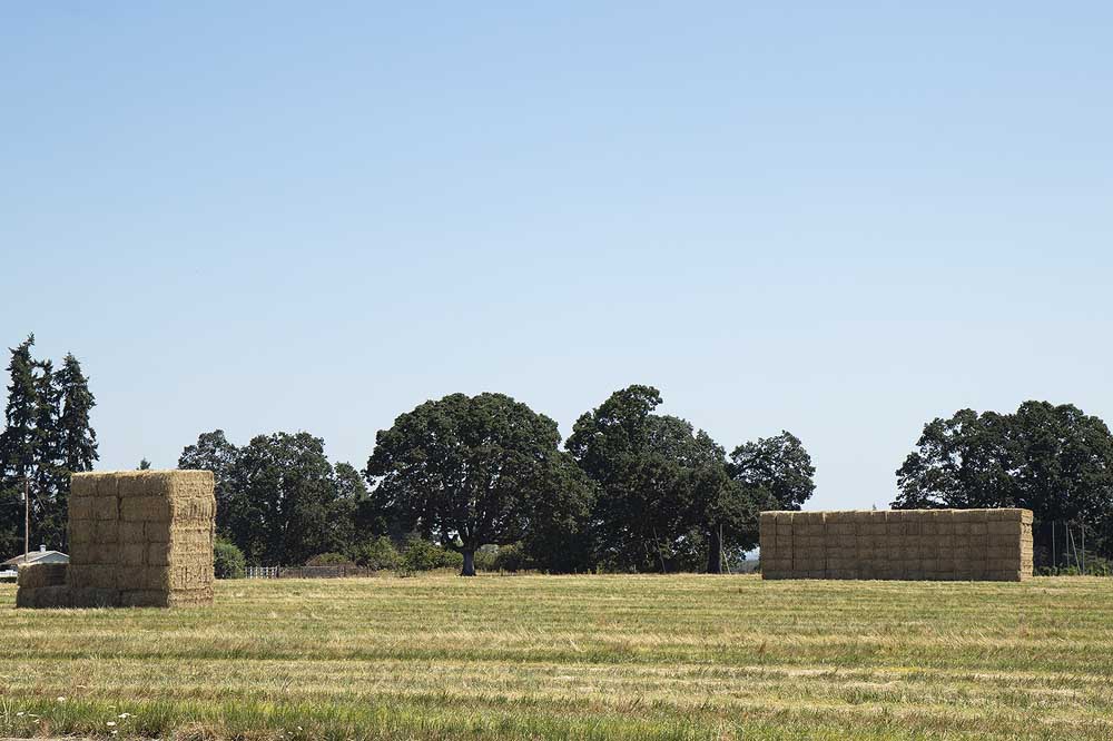 Nursery crops top list of Oregon commodities | The Bulletin