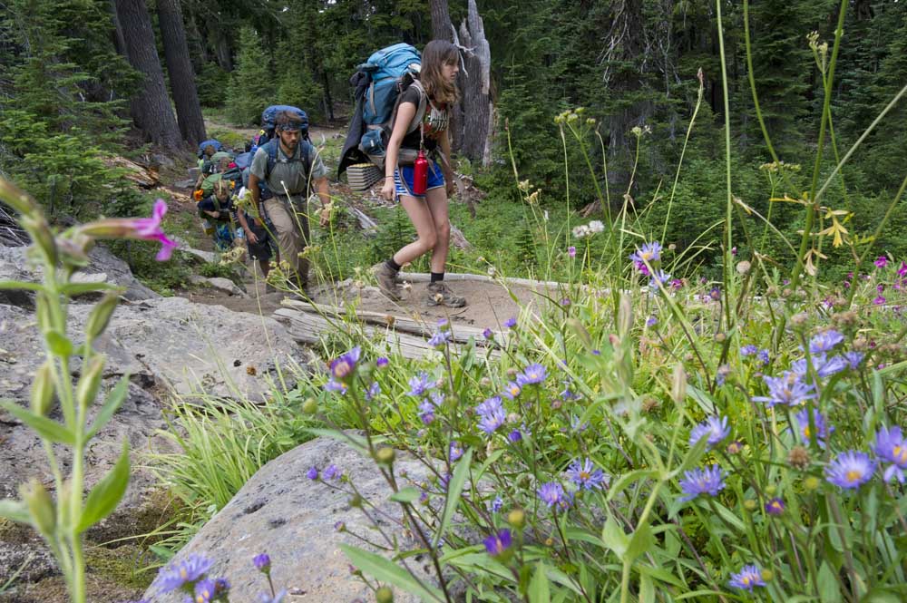 Fewer no-shows this year for wilderness trail permit system, Forest ...
