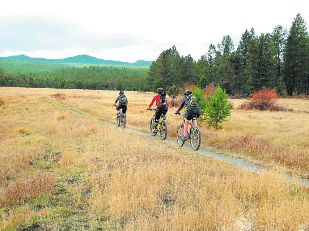 Ryan Ranch wetland pilot project begins Wednesday | The Bulletin