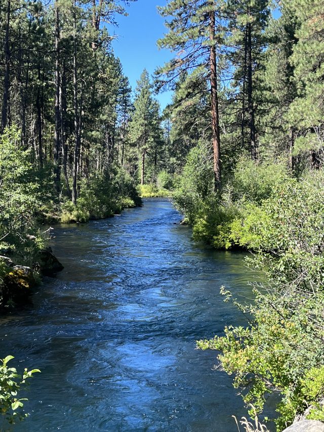 Guest column: The wonders of the wild Metolius River | The Bulletin