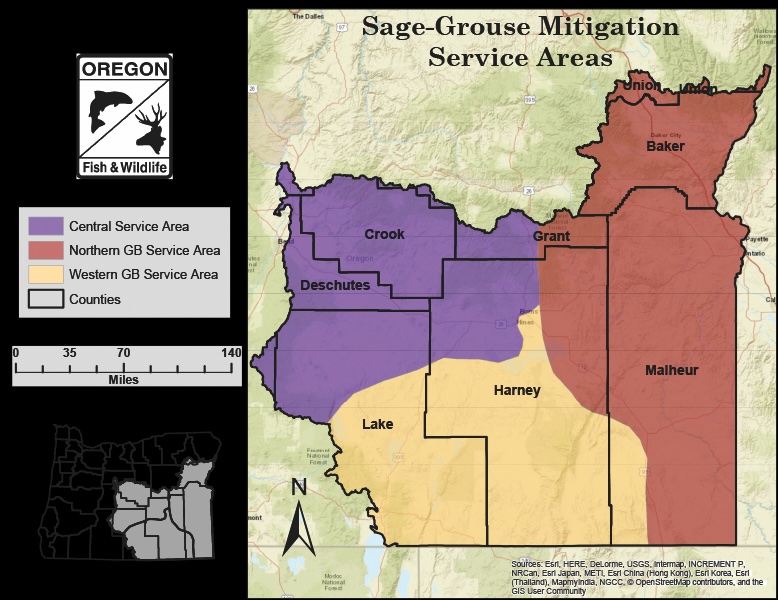 Oregon’s first sage grouse ‘conservation bank’ in operation | The Bulletin