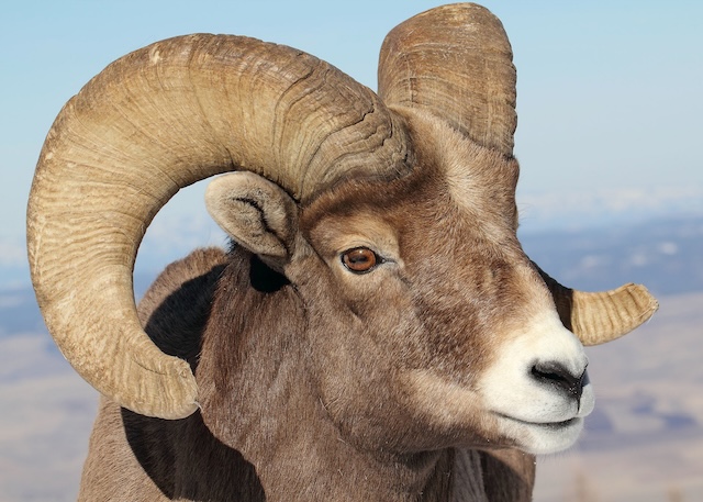 Guest column: Raising Oregon’s lodging tax is a smart investment | The ...