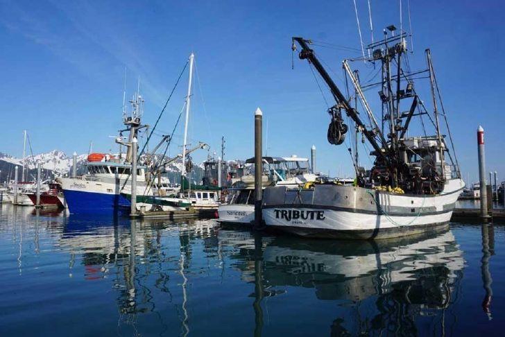 Conservation groups urge Oregon to reduce whale deaths from crab ...