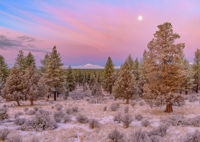 Explore calendar Dec. 27-Jan. 2: New Year Botany Walk | The Bulletin