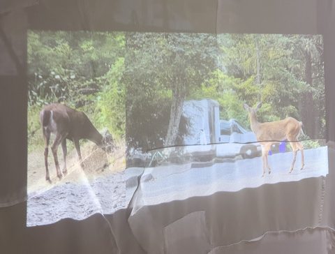 Two new solo exhibitions opening at Bend’s Scalehouse Gallery ...